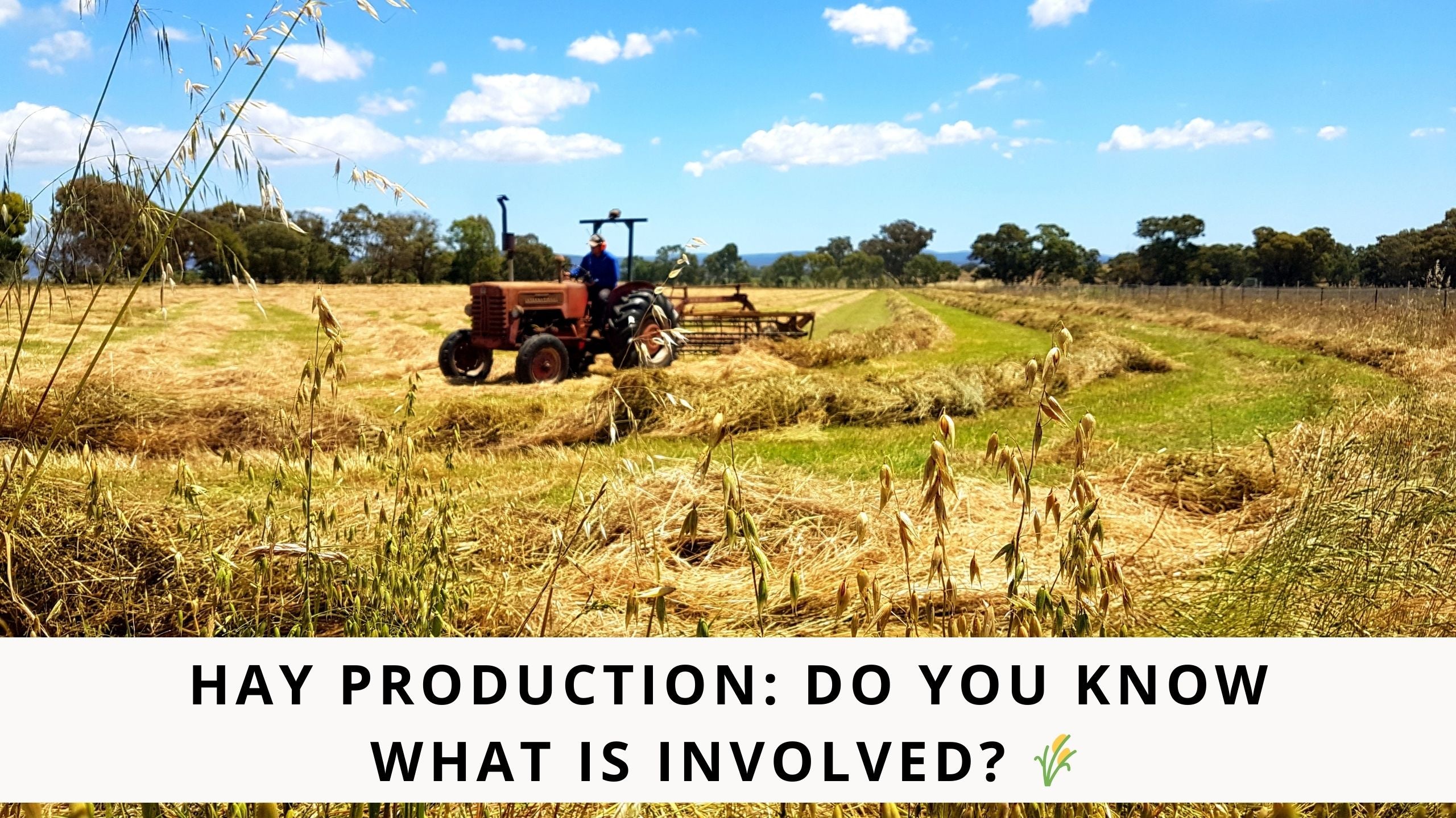 Hay Production: Do you know what is involved? – Gutzbusta USA