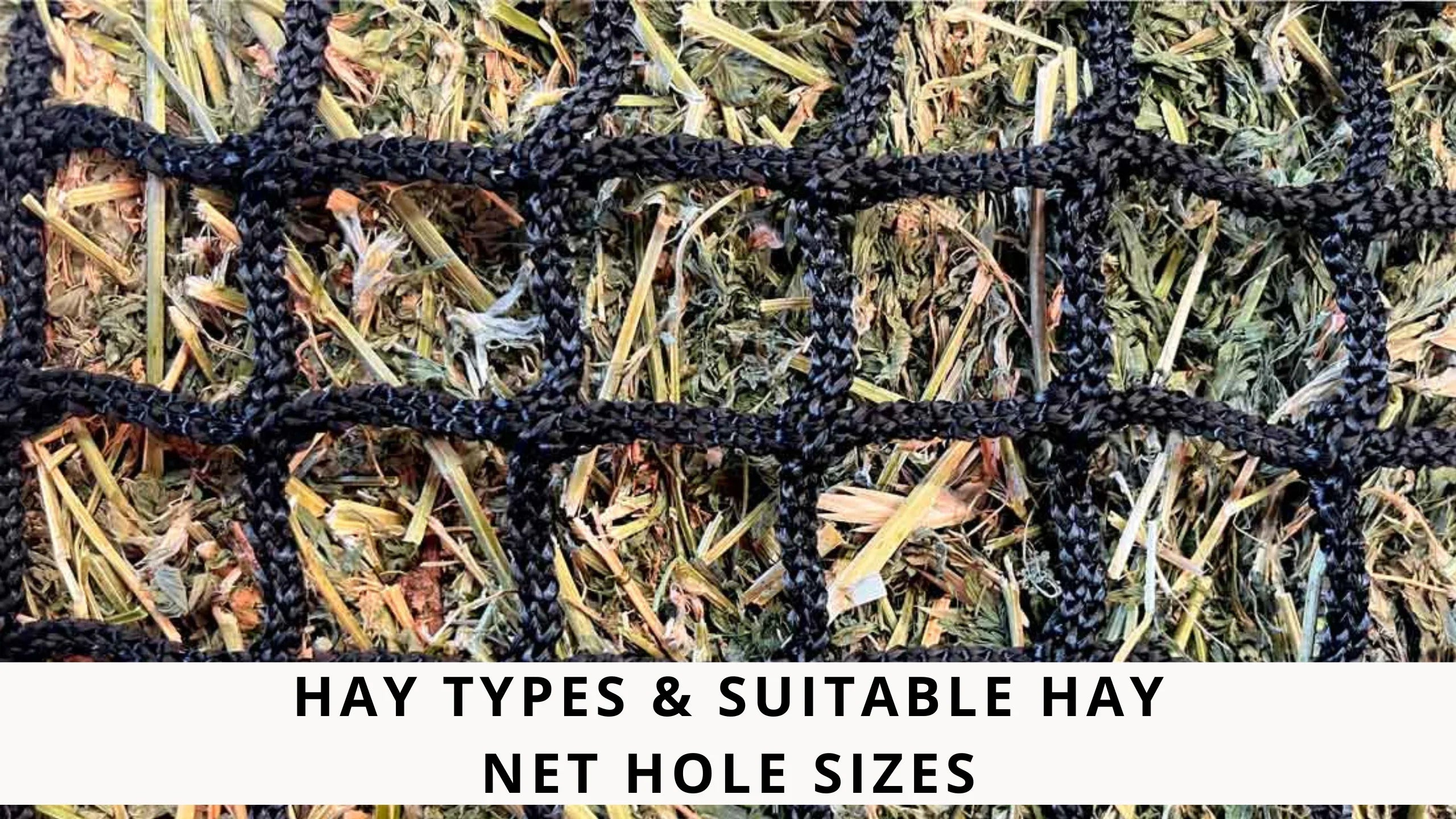 Hay types & suitable hay net hole sizes – Gutzbusta USA