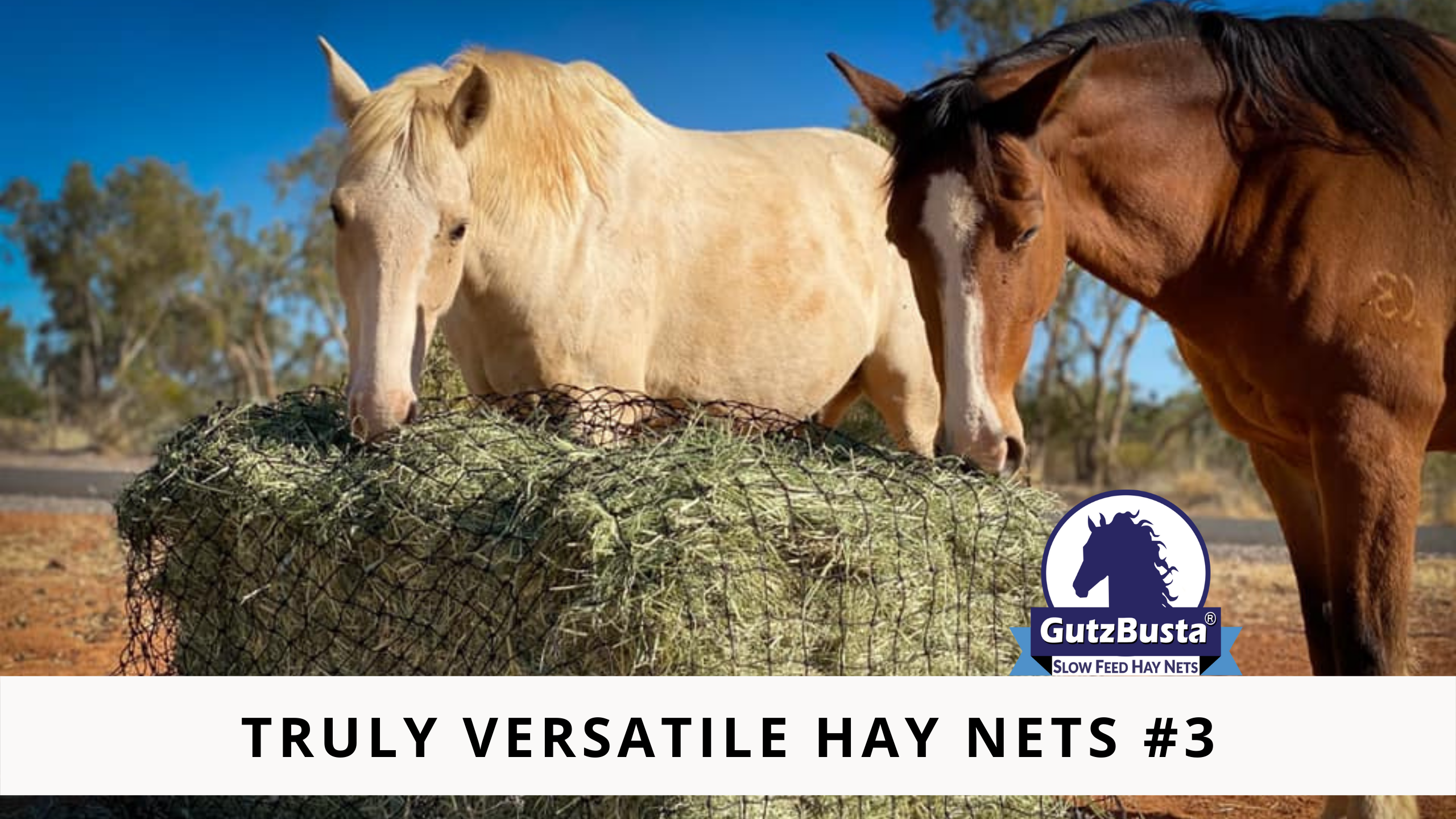 Truly Versatile Hay Nets #3 – Gutzbusta USA