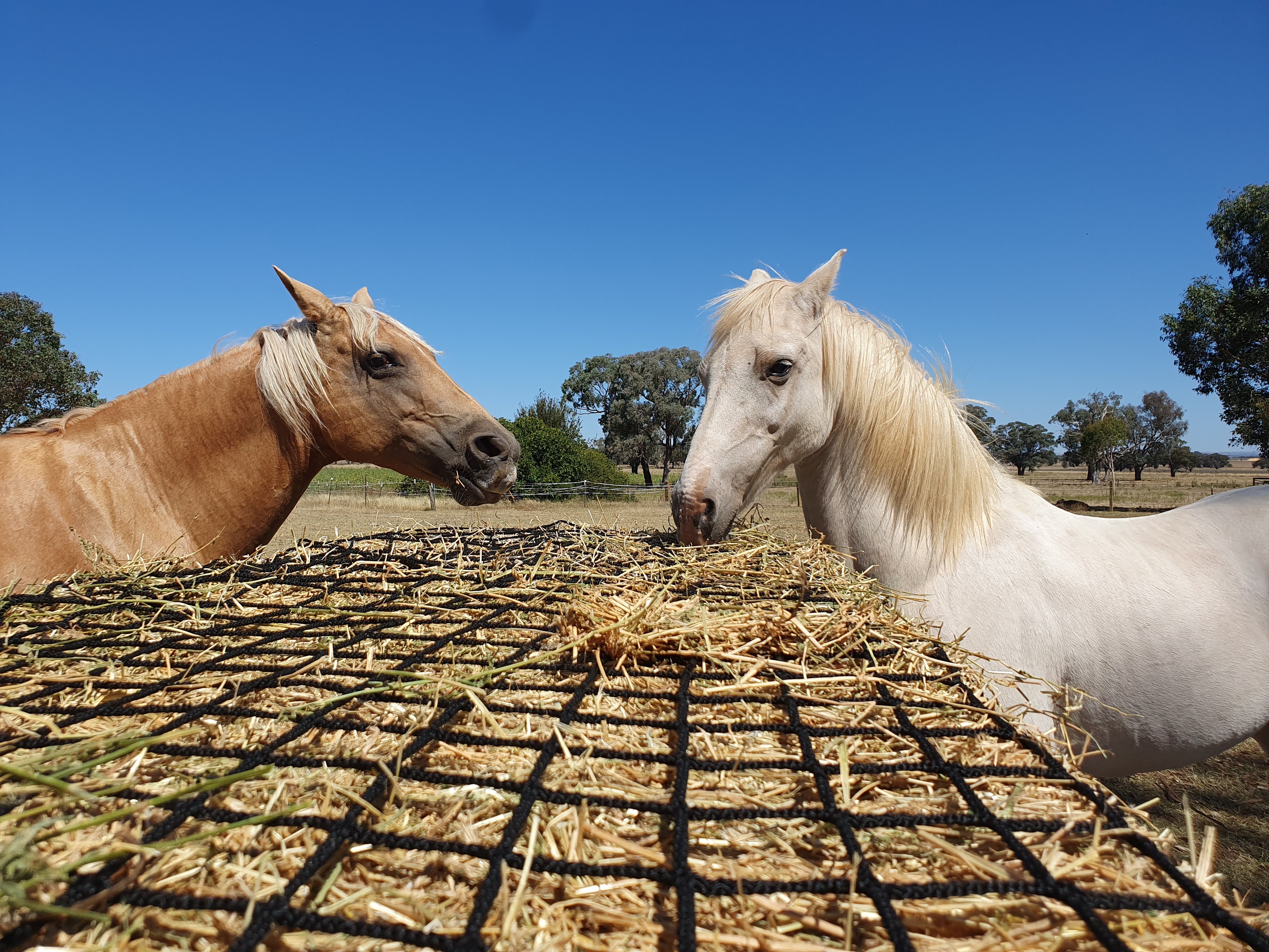 All Large Bale Nets – Gutzbusta USA