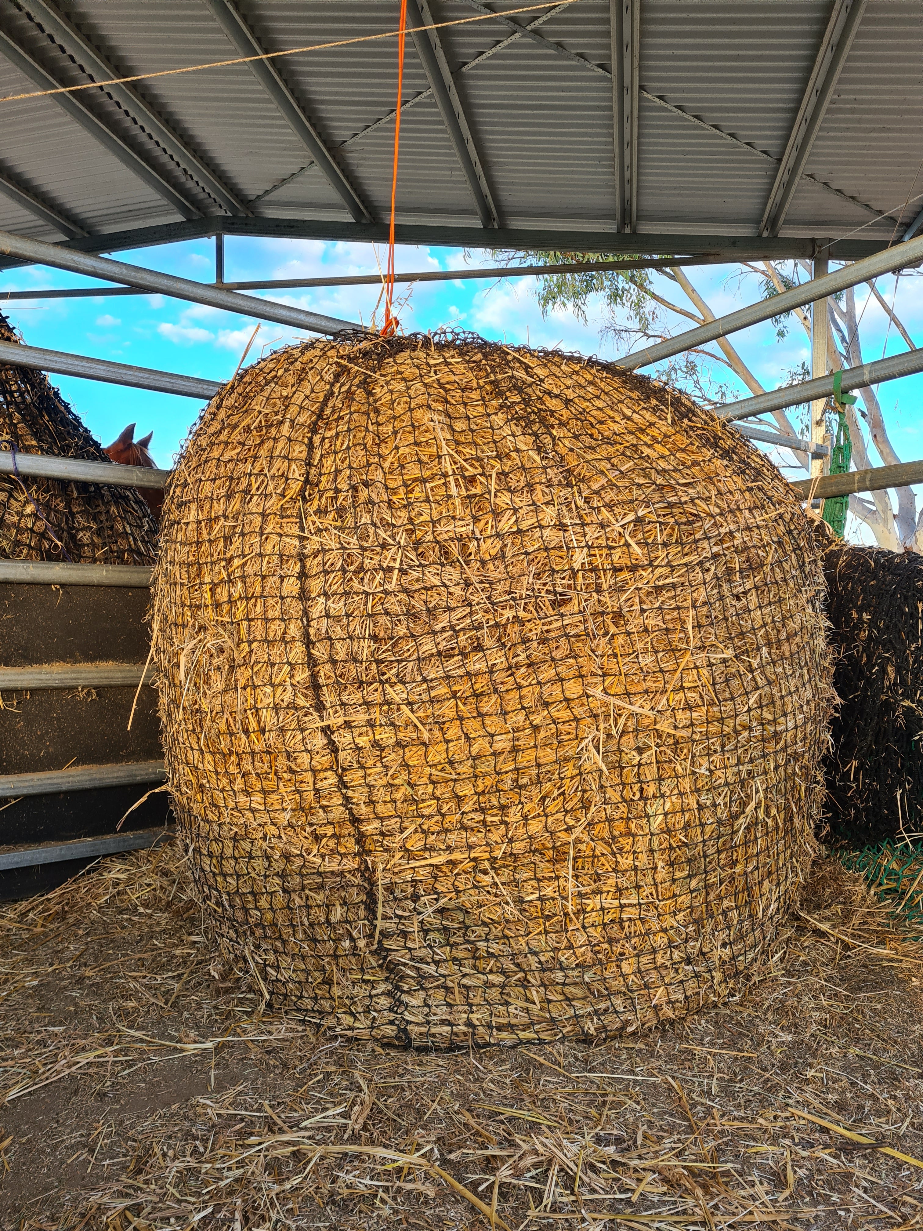 Knotted Round Bales – Gutzbusta USA