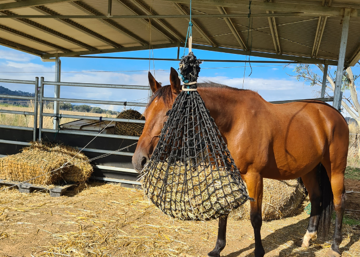 Hay Bales Quality Australian Made Slow Feed Hay Nets Hay Feeder