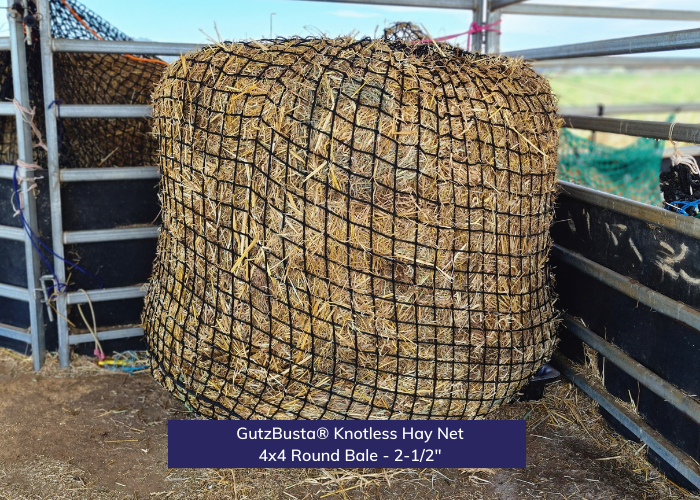 Knotless Hay Nets - 4x4 Round Bale – Gutzbusta USA