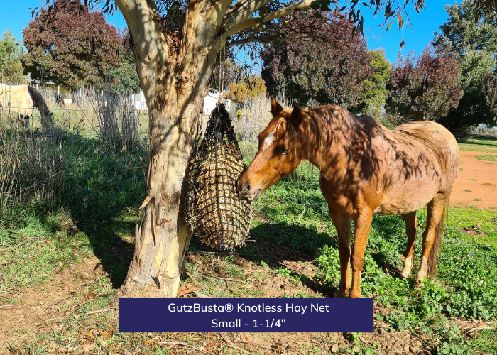 Small Knotless Slow Feed Hay Net – Gutzbusta USA
