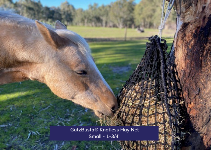 Small Knotless Slow Feed Hay Net – Gutzbusta USA
