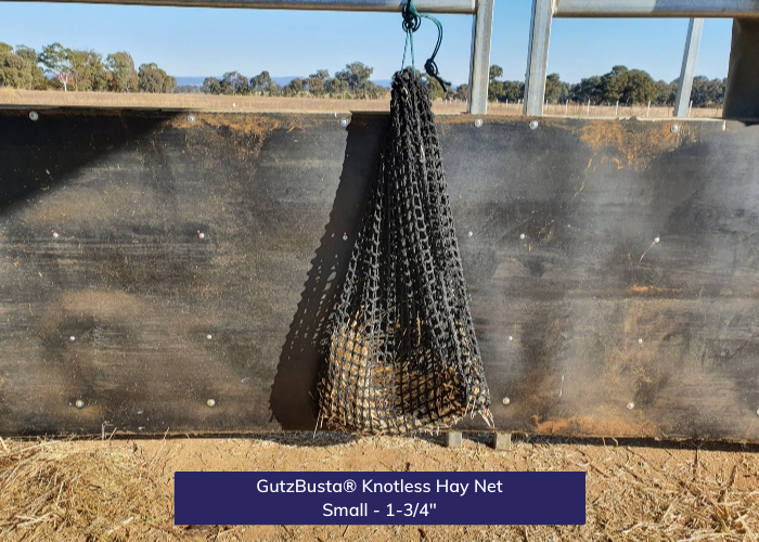 Small Knotless Slow Feed Hay Net – Gutzbusta USA