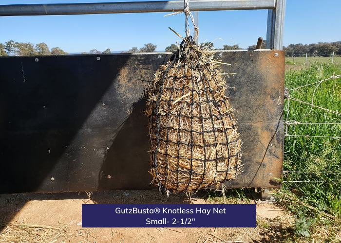 Small Knotless Slow Feed Hay Net – Gutzbusta USA