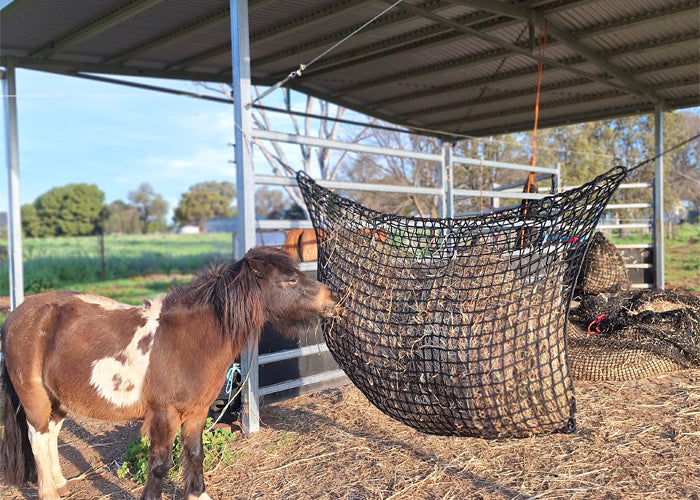 Hay-Stay Hanging Knotless Hay Net – Gutzbusta USA