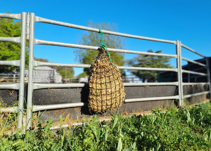 Small Knotless Slow Feed Hay Net – Gutzbusta USA