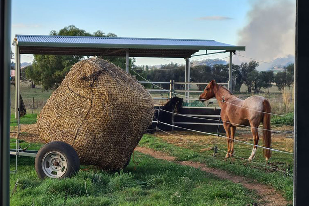 Knotted Hay Nets - 4x4 Round Bale Net – Gutzbusta USA