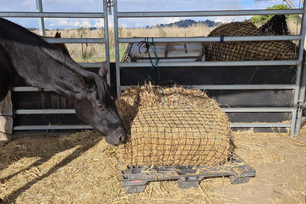 Large Knotted Slow Feed Hay Net – Gutzbusta USA